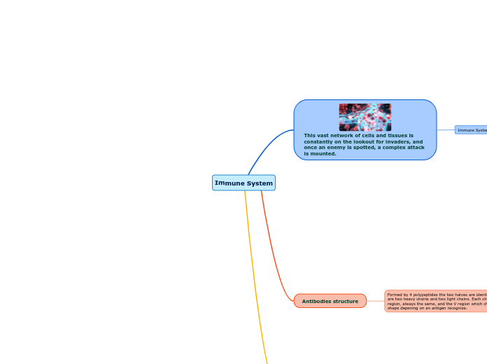 Immune System - Mind Map