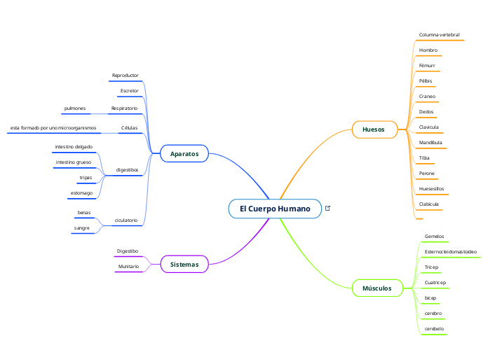 El Cuerpo Humano - Mind Map