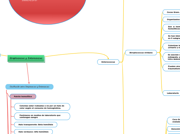 Streptococcus y Enterococcus - Mind Map