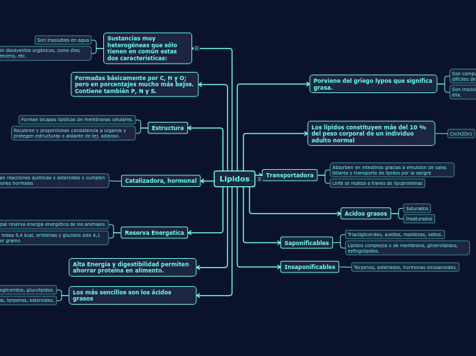 Lipidos - Mind Map
