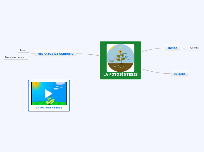 LA FOTOSÍNTESIS - Mind Map