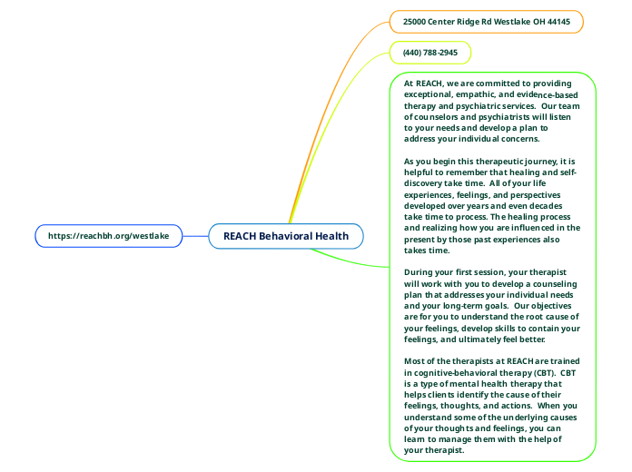 REACH Behavioral Health - Mind Map