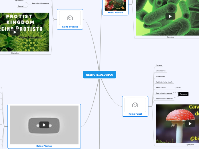 REINO BIOLOGICO - Mind Map