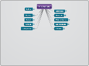 Invertebrate - Mind Map