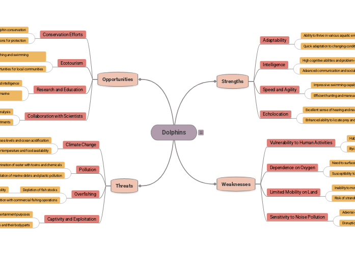 Dolphins - Mind Map