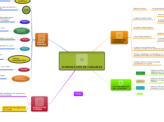 INTRODUCCIÓN DE VARIABLES - Mind Map