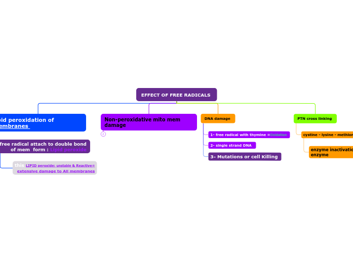 EFFECT OF FREE RADICALS - Mind Map