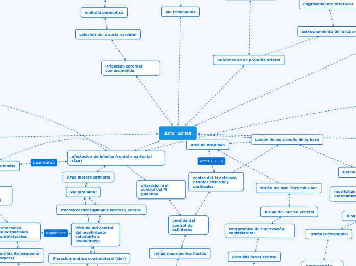ACV ACMI - Mind Map