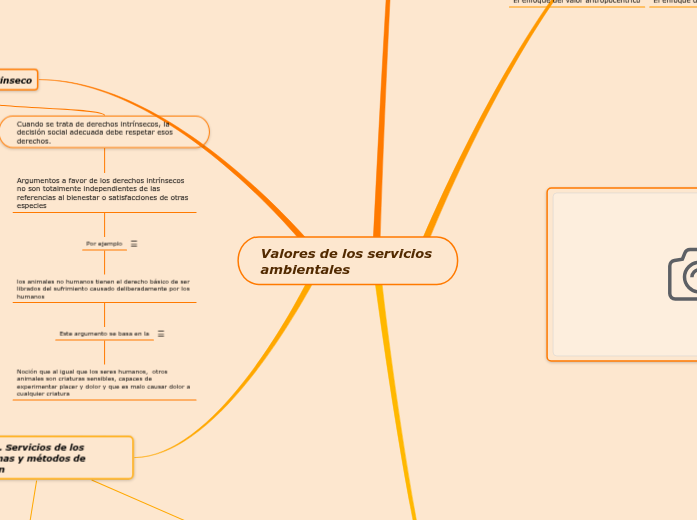 Valores de los servicios ambientales - Mind Map