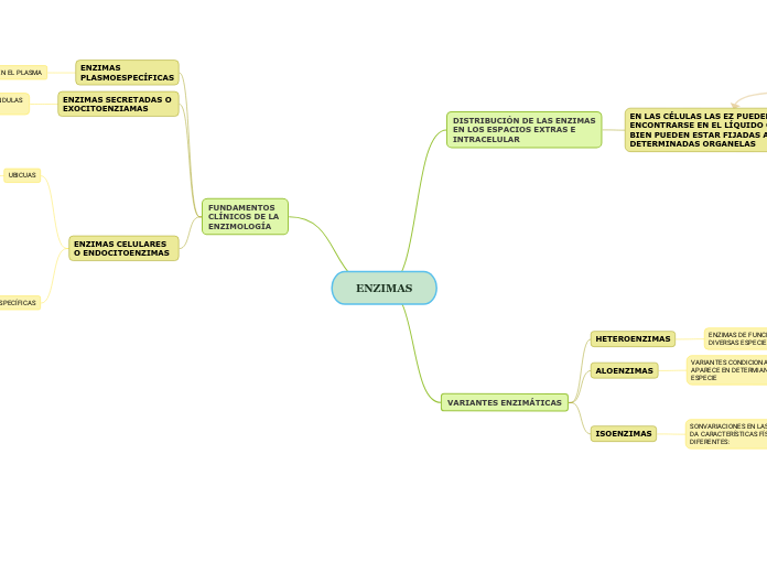 ENZIMAS - Mind Map