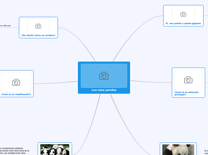 Los osos pandas - Mind Map