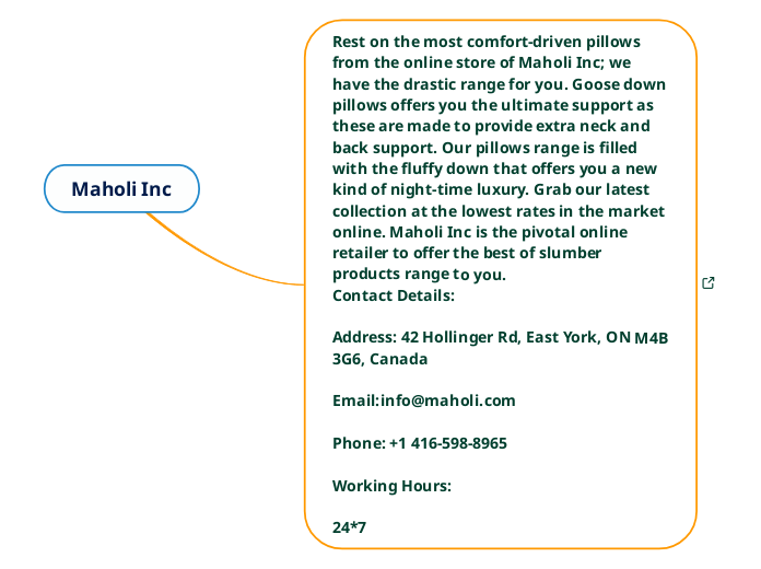 Maholi Inc - Mind Map