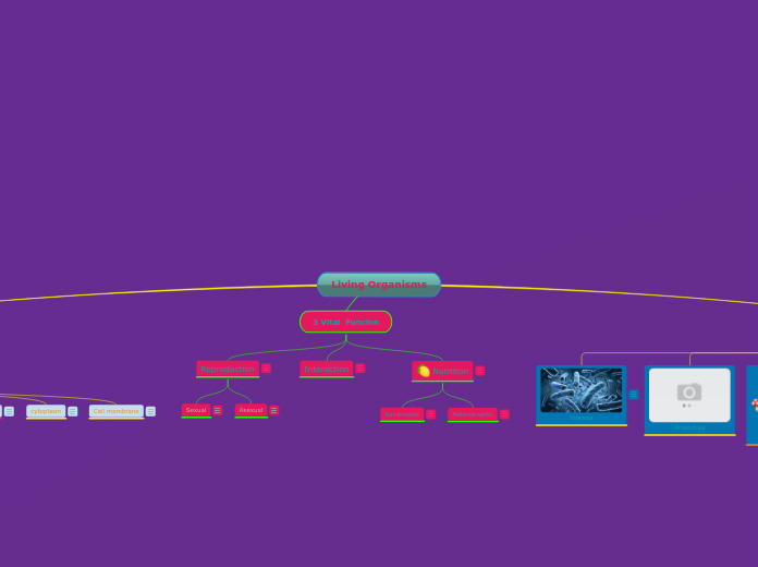 Living Organisms - Mind Map