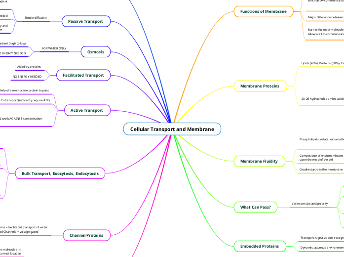 Cellular Transport and Membrane - Mind Map