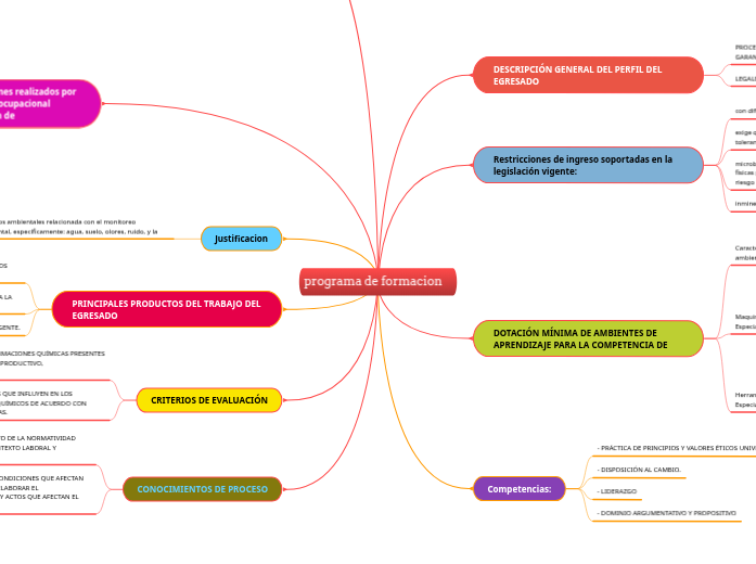 programa de formacion - Mind Map