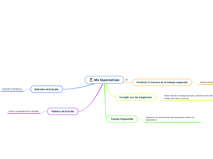 Mis Expectativas - Mind Map