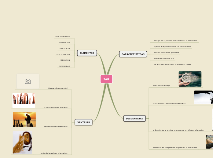 IAP - Mind Map