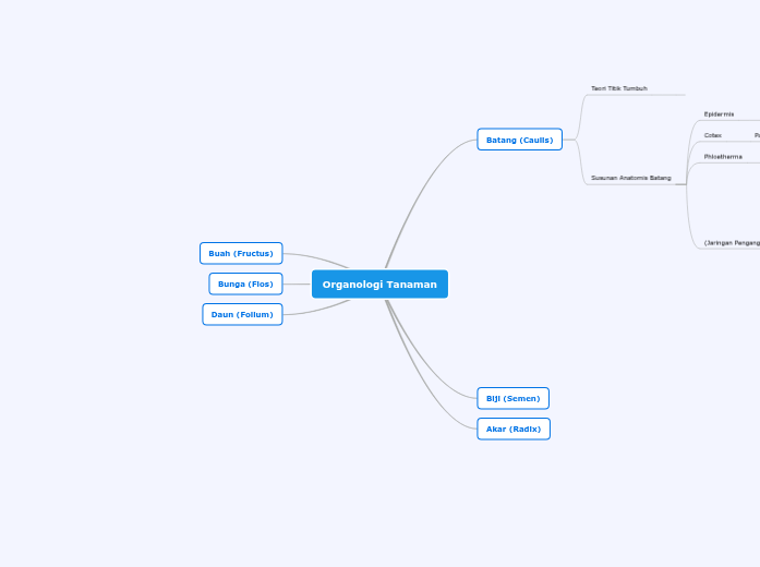 Organologi Tanaman - Mind Map