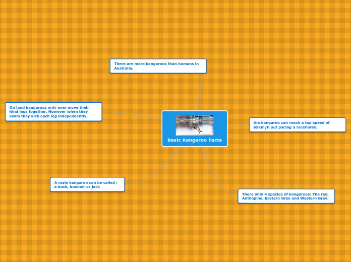 Basic KAngaroo Facts - Mind Map