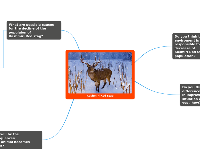Kashmiri Red Stag - Mind Map