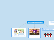 LA MEMBRANA CELULAR - Mind Map