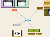 Gases - Mind Map