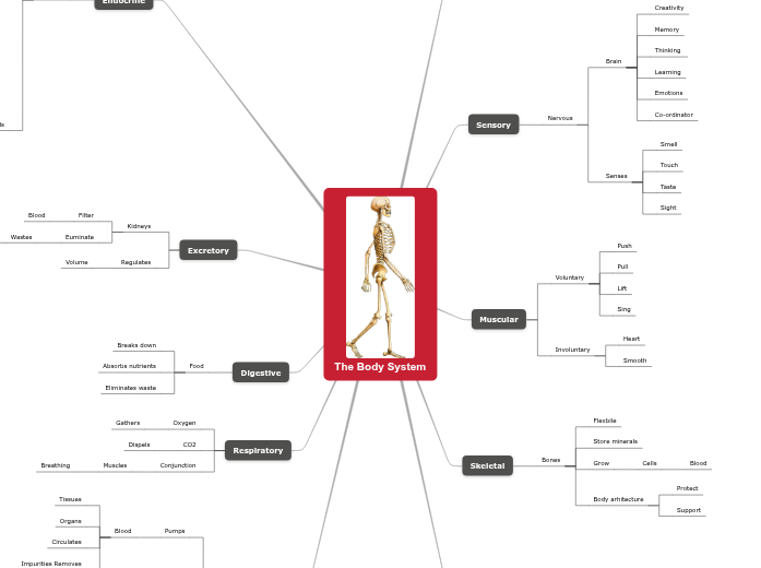 The Body System - Mind Map