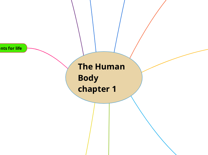 The Human Body chapter 1 - Mind Map