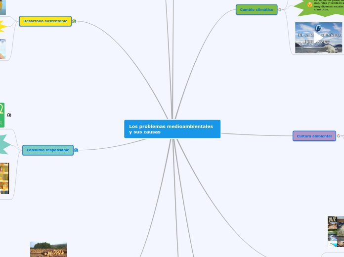 Los problemas medioambientales y sus causa...- Mind Map