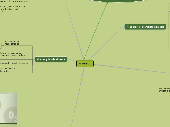 El ÁRBOL - Mind Map