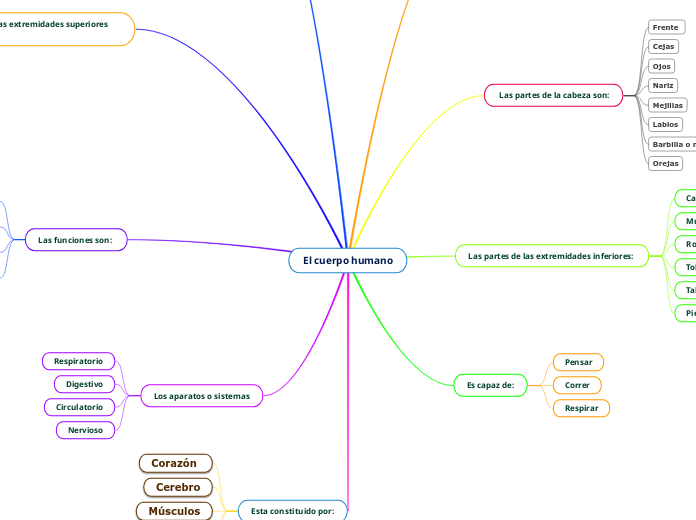 El cuerpo humano - Mind Map