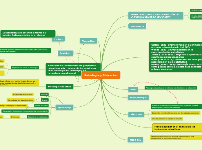 Organizador - Mind Map