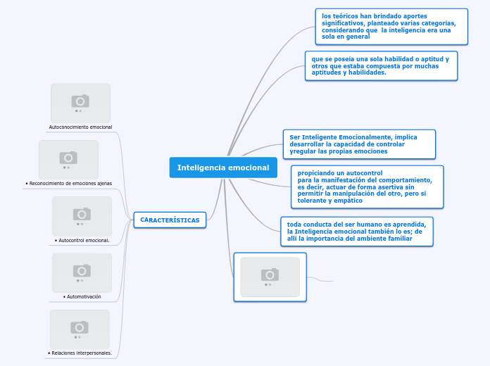 Central tema - Mind Map