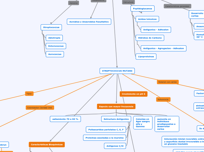 STREPTOCOCCUS MUTANS - Concept Map