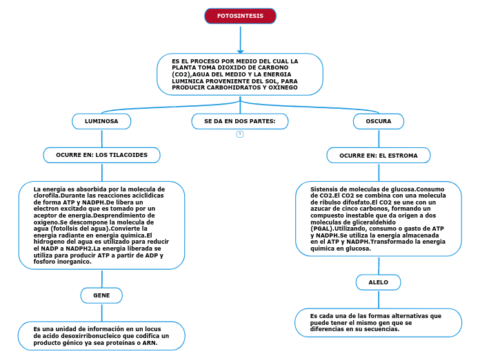 FOTOSINTESIS - Mind Map