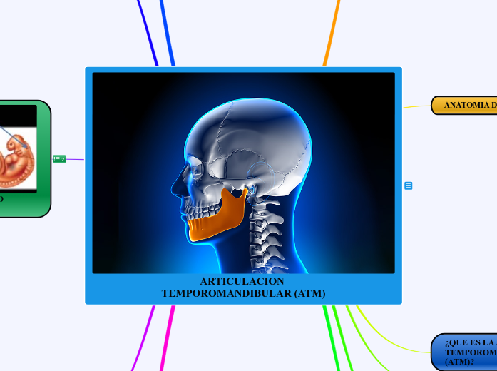 ARTICULACION TEMPOROMANDIBULAR (ATM) - Mind Map