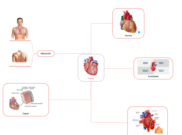 Corazón - Mind Map