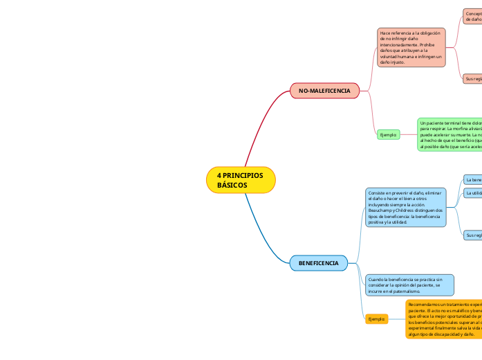 4 PRINCIPIOS BÁSICOS - Mind Map