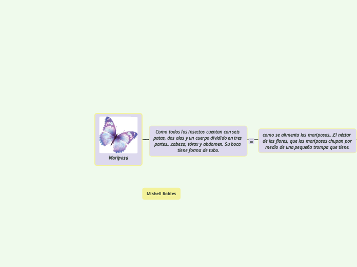Mariposa - Mind Map