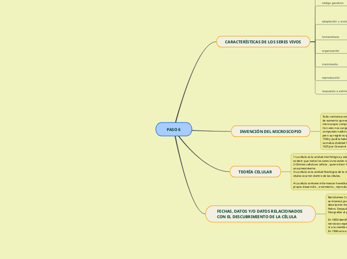 PASO 6 - Mind Map