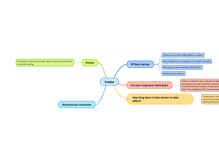 Snake - Mind Map