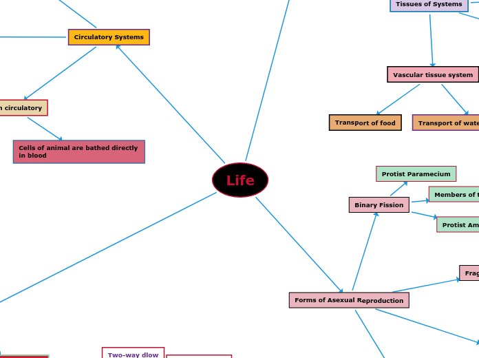 Life - Mind Map