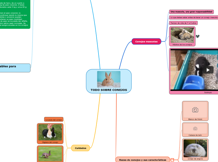 TODO SOBRE CONEJOS-2 - Mind Map