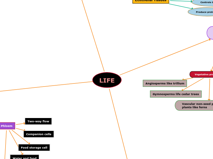 LIFE Concept Map - Mind Map