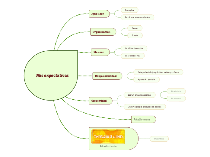 Mis expectativas - Mind Map