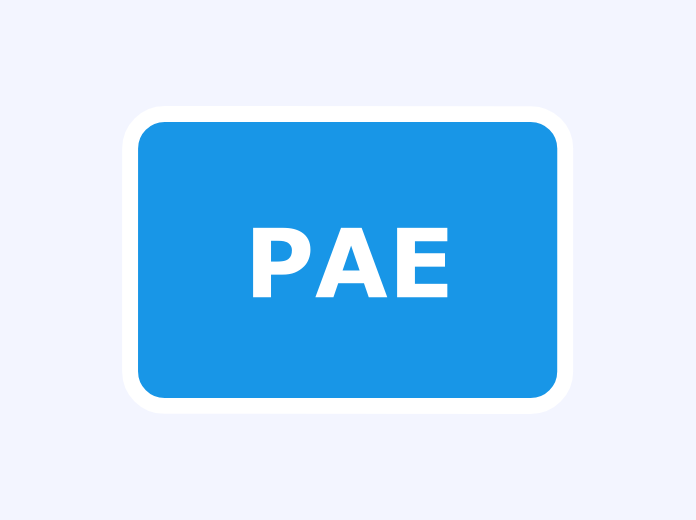 PAE - Mind Map
