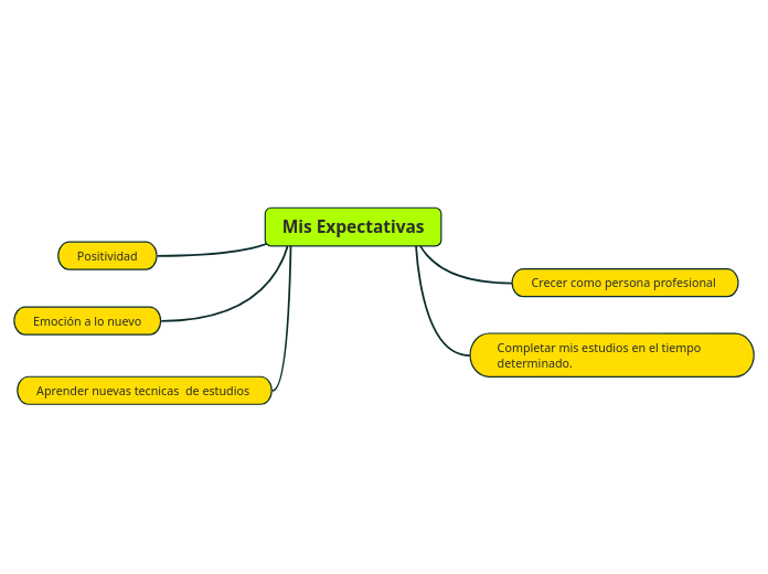 Mis Expectativas - Mind Map