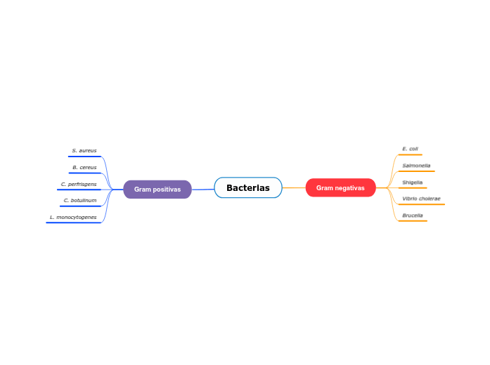 Bacterias - Mind Map