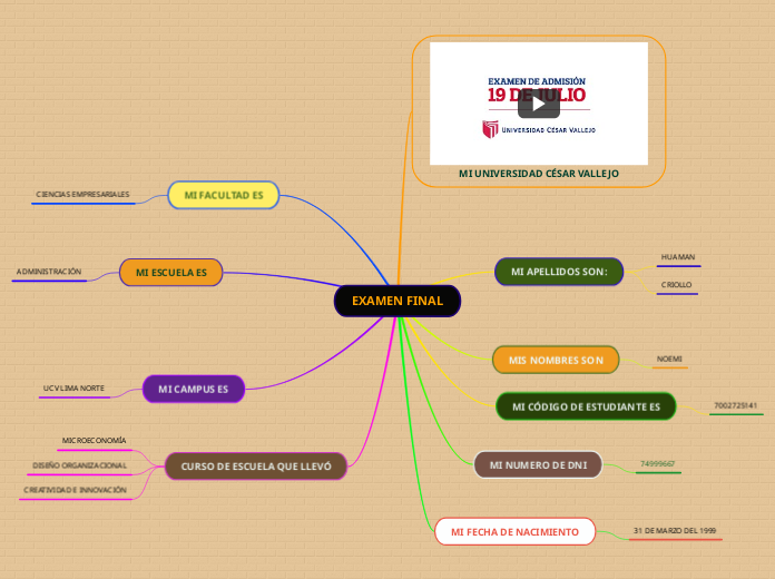 EXAMEN FINAL - Mind Map