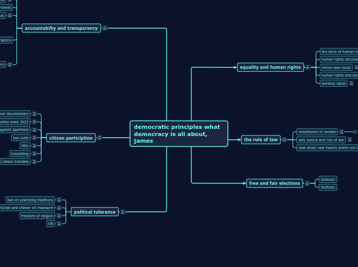 democratic principles what democracy is al...- Mind Map